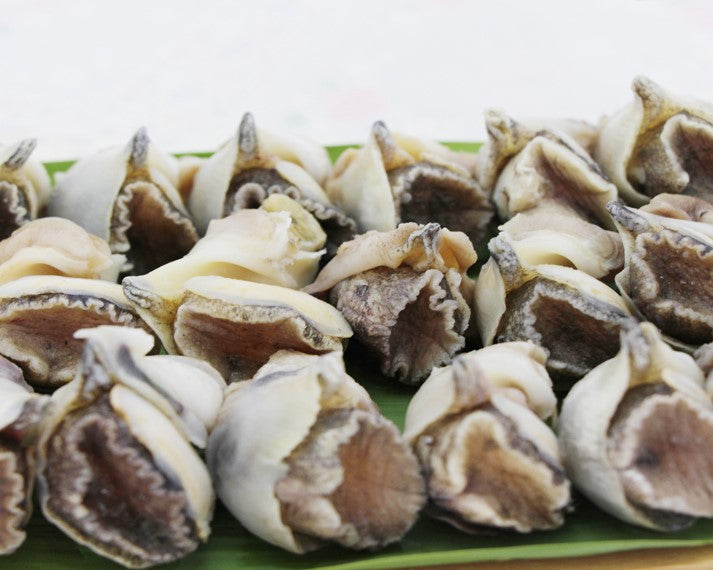 Frozen Conch Meat – My Ah Gong Shop